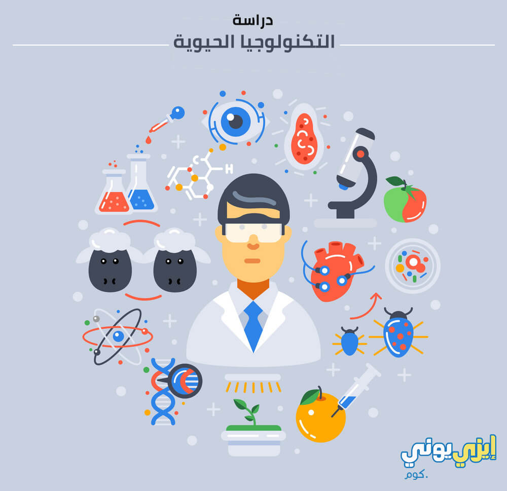 دليلك الشامل عن تخصص التكنولوجيا الحيوية